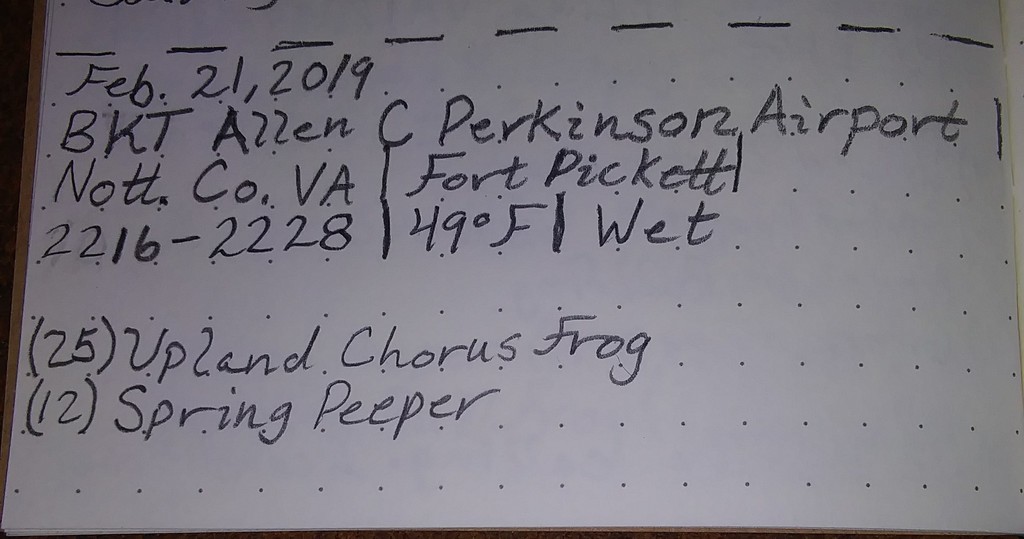 Spring Peeper from Nottoway County, US-VA, US on February 21, 2019 at ...