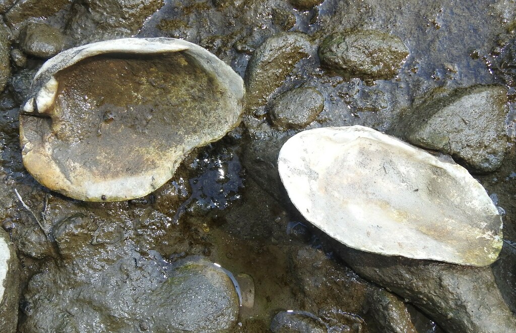 Mucket from River Bend, London, ON, Canada on September 6, 2023 at 11: ...