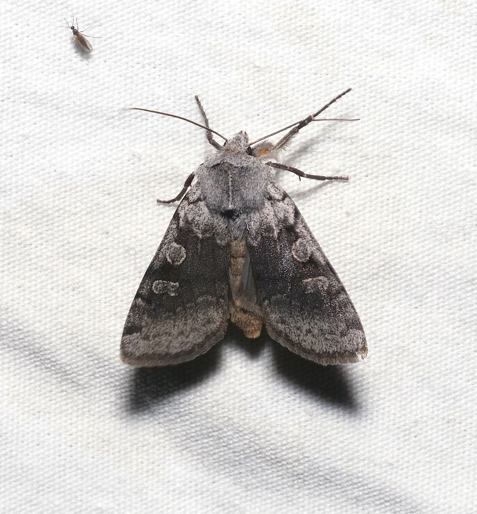 Richia from Boulder County, CO, USA on September 7, 2023 at 08:35 PM by ...