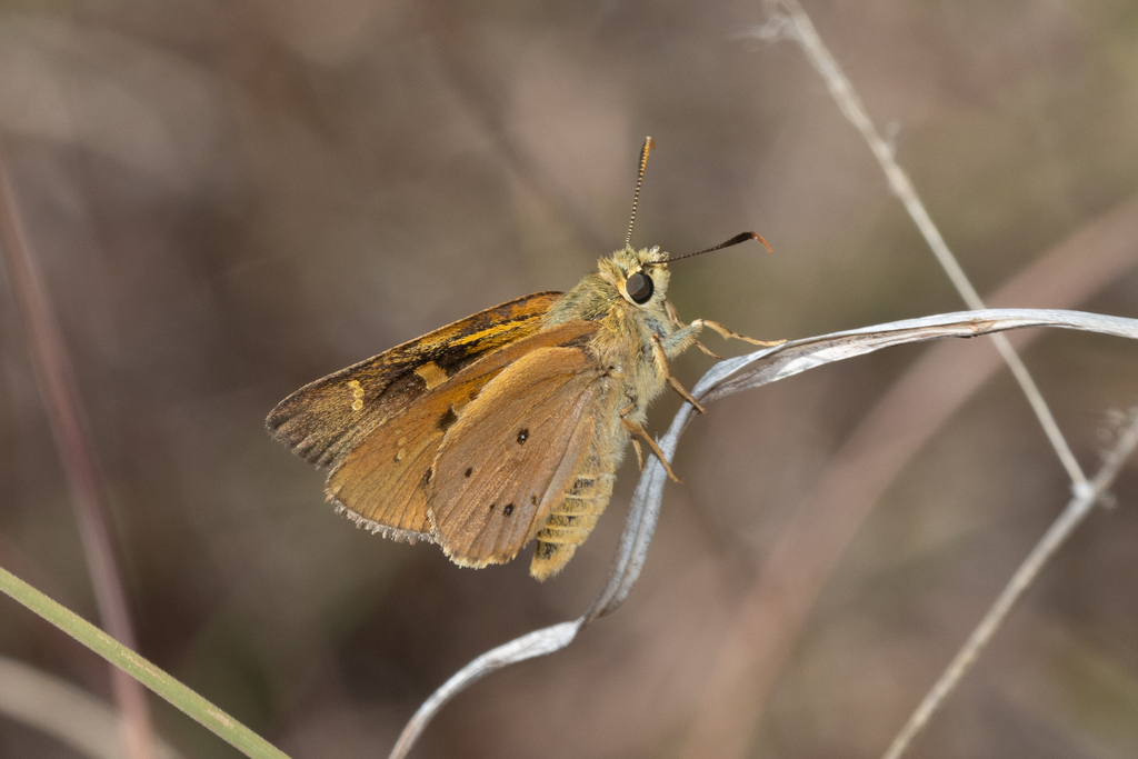 Eliena Skipper from Lake Manchester on September 9, 2023 at 12:56 PM by ...