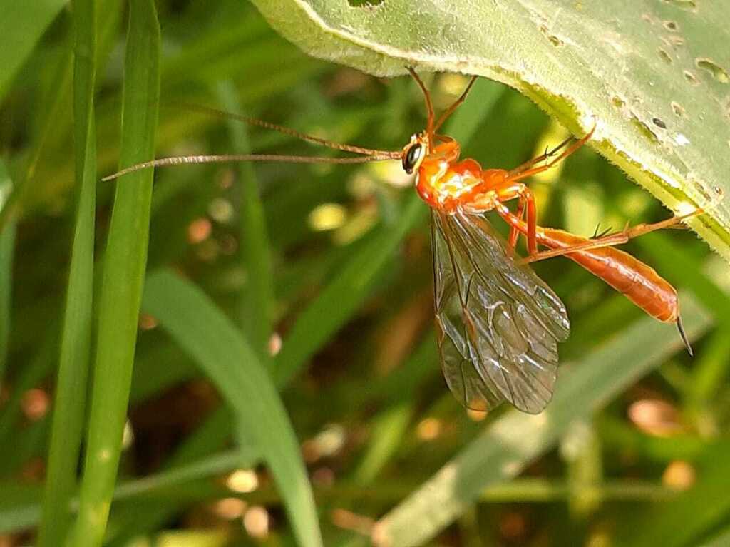 Netelia from Punto 7 on September 5, 2023 at 06:12 PM by Cristy ...