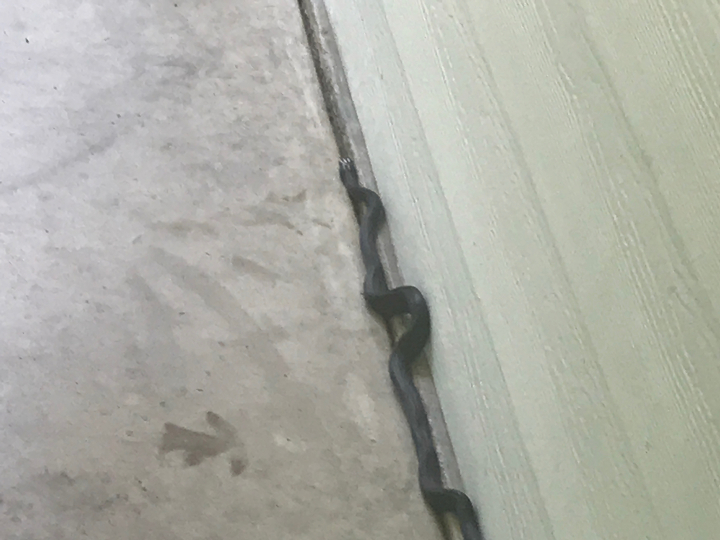 Colubrine Snakes from Fordyce on July 27, 2017 at 12:43 PM by stuntbear ...