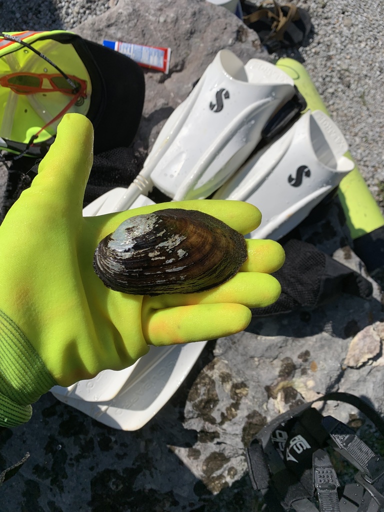 Fatmucket from Eureka Springs, AR, US on September 9, 2023 at 03:30 PM ...