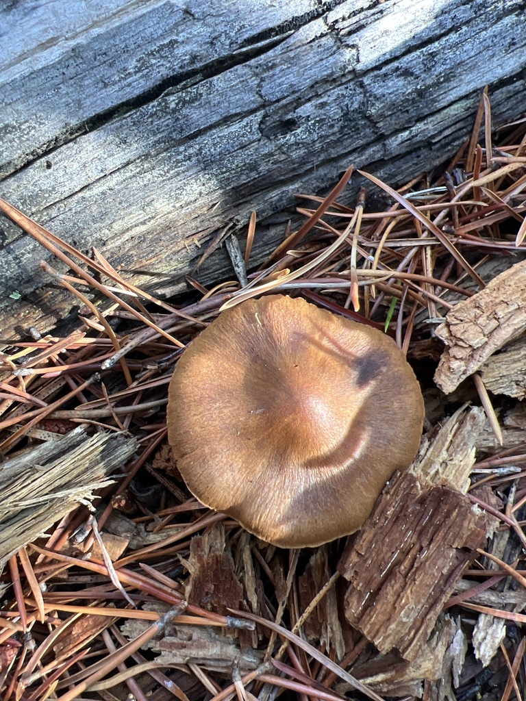 Webcaps from Teton County, US-ID, US on September 14, 2023 at 10:32 AM ...