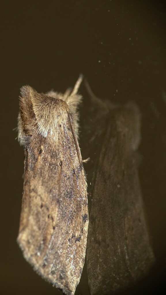 Ramesa from Eternity on September 11, 2023 at 09:44 PM by Dinesh Sharma ...