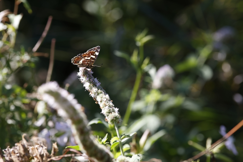 Map from Unterbachern, 85232 Bergkirchen, Deutschland on September 20 ...