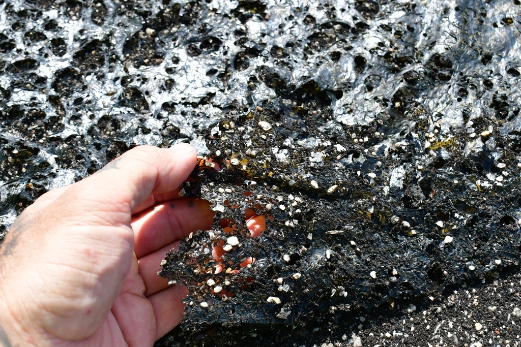 Star Jelly from Brooklyn, NY 11234, USA on September 22, 2023 at 12:05 ...