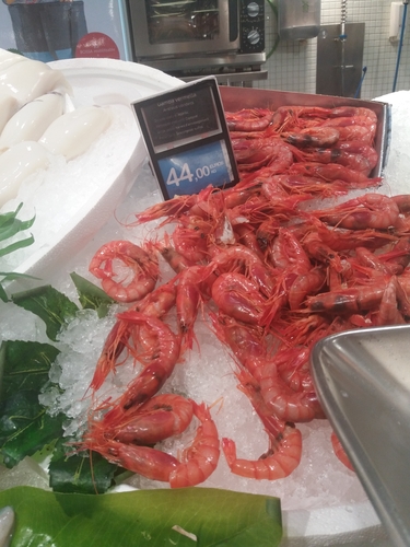 Striped red shrimp (Aristeus varidens) · iNaturalist