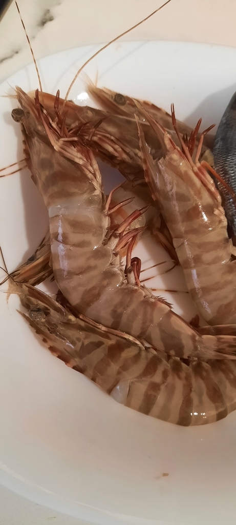 Brown Tiger Prawn from Ctra. de Barcelona - Centre Comercial, 08398 ...