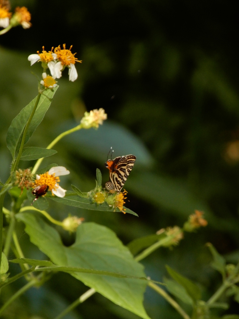 Club Silverline from 和美山, Xindian, New Taipei, Taiwan on September 26 ...