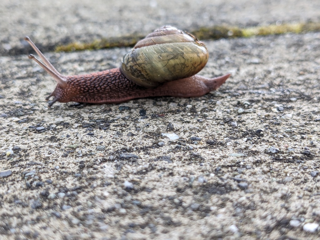 Pacific Sideband from Sequim, WA 98382, USA on September 28, 2023 at 08:33 AM by Camille ...