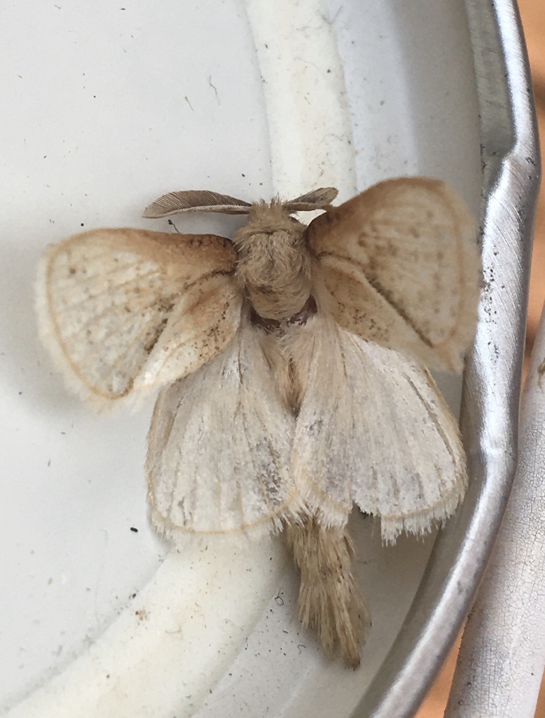 Phiala from Binton Road, Harare, Harare, ZW on September 29, 2023 at 08 ...