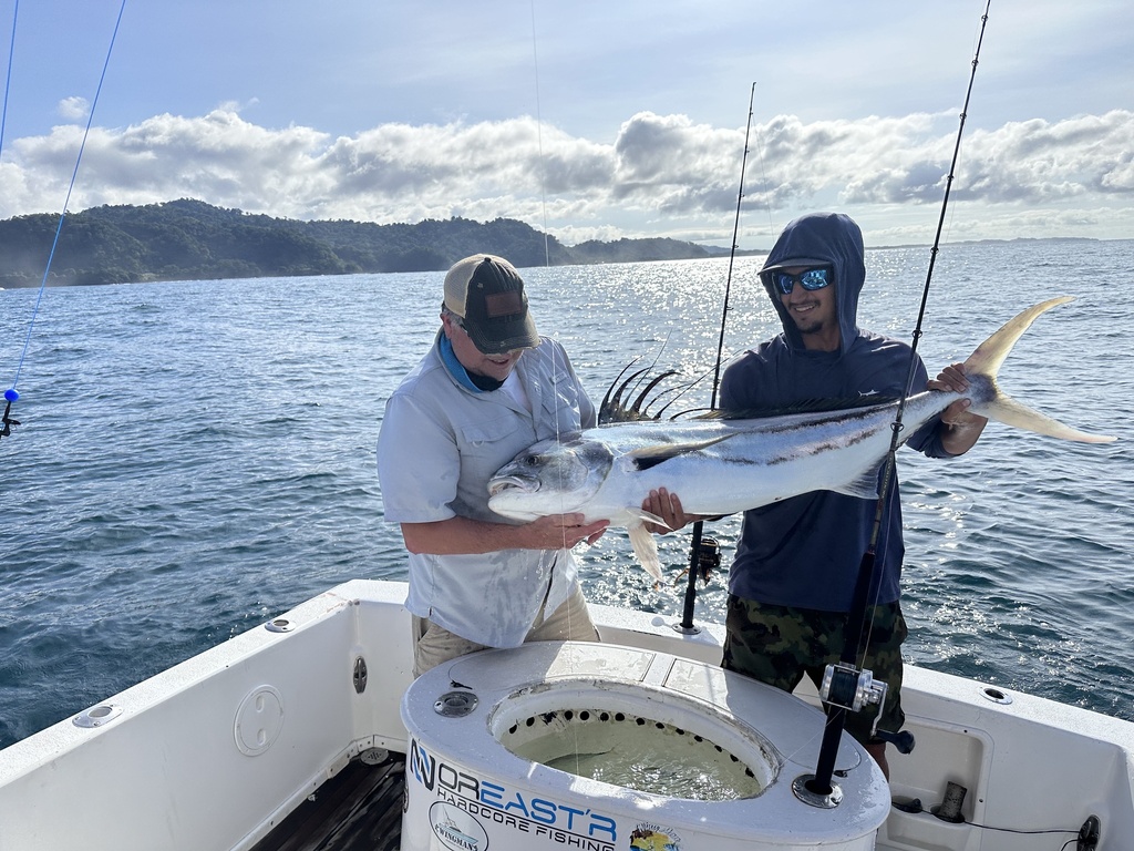 Roosterfish from Pacific Ocean, Puntarenas, CR on October 2, 2023 at 07 ...