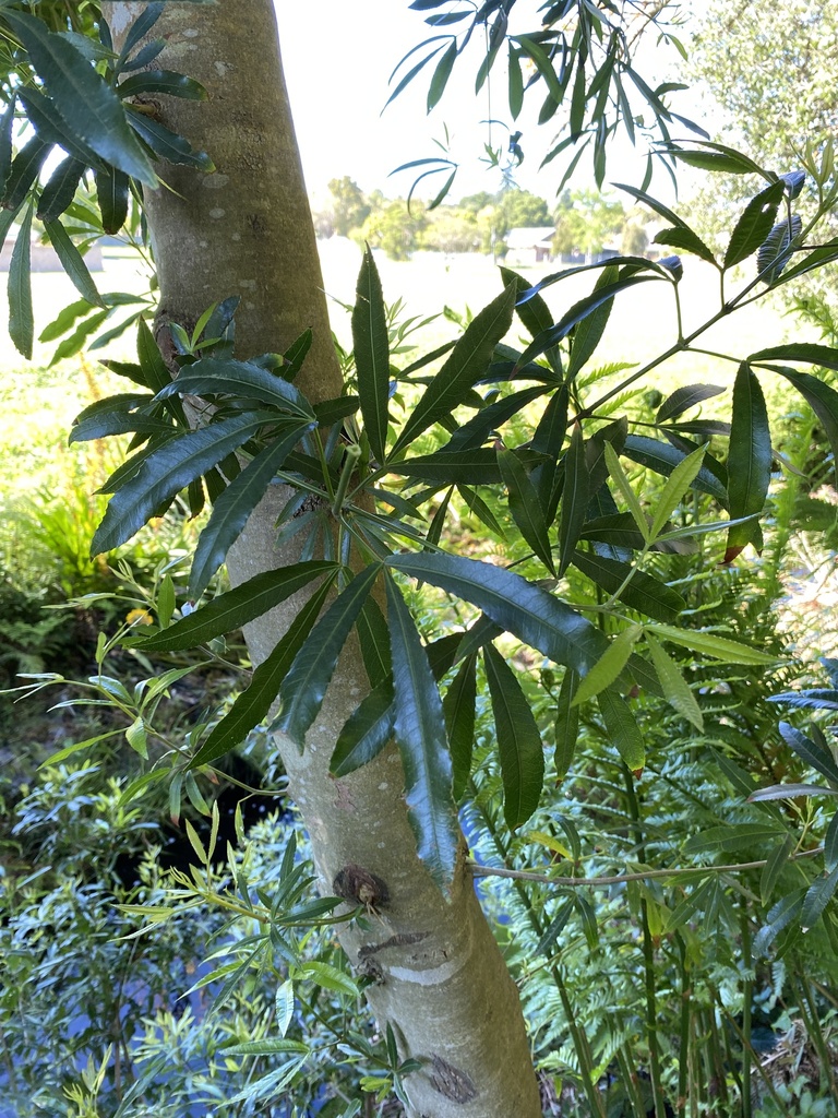 Witels from Campher's Drift, George, 6529, South Africa on September 28 ...