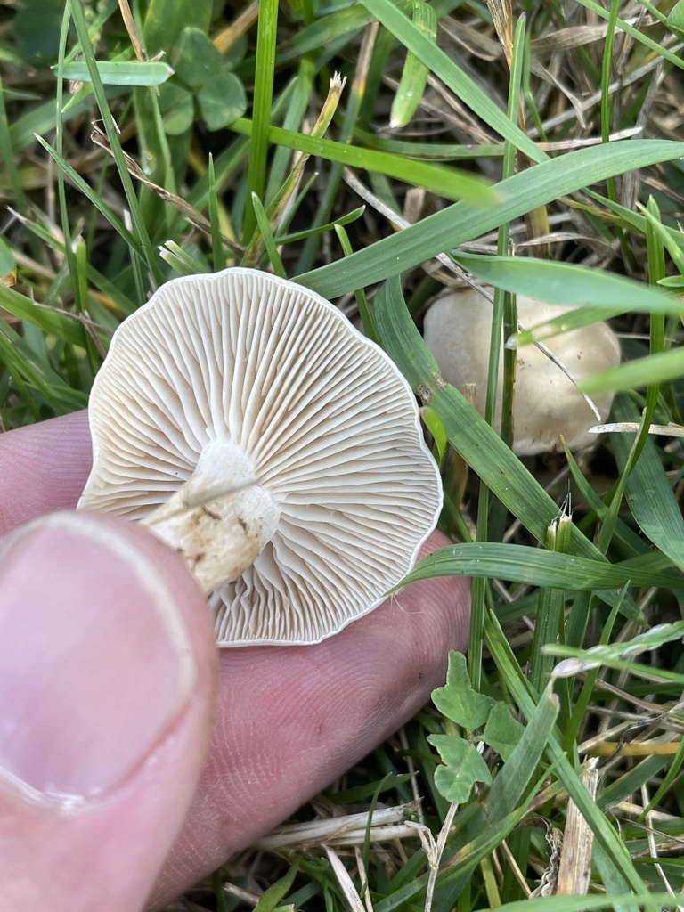Fool's Funnel from Penn Ave, Telford, PA, US on October 3, 2023 at 01: ...