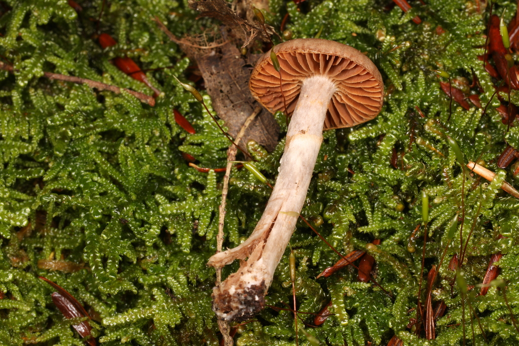 Webcaps from Leeper, PA 16233, USA on September 28, 2023 at 09:11 PM by ...