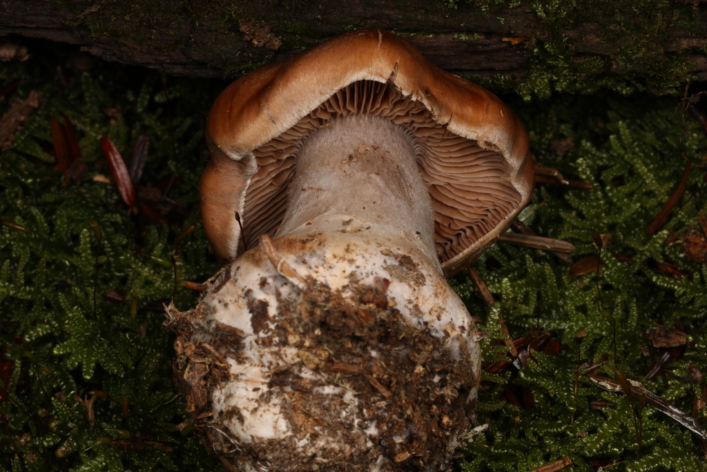 Webcaps from Leeper, PA 16233, USA on September 28, 2023 at 09:40 PM by ...