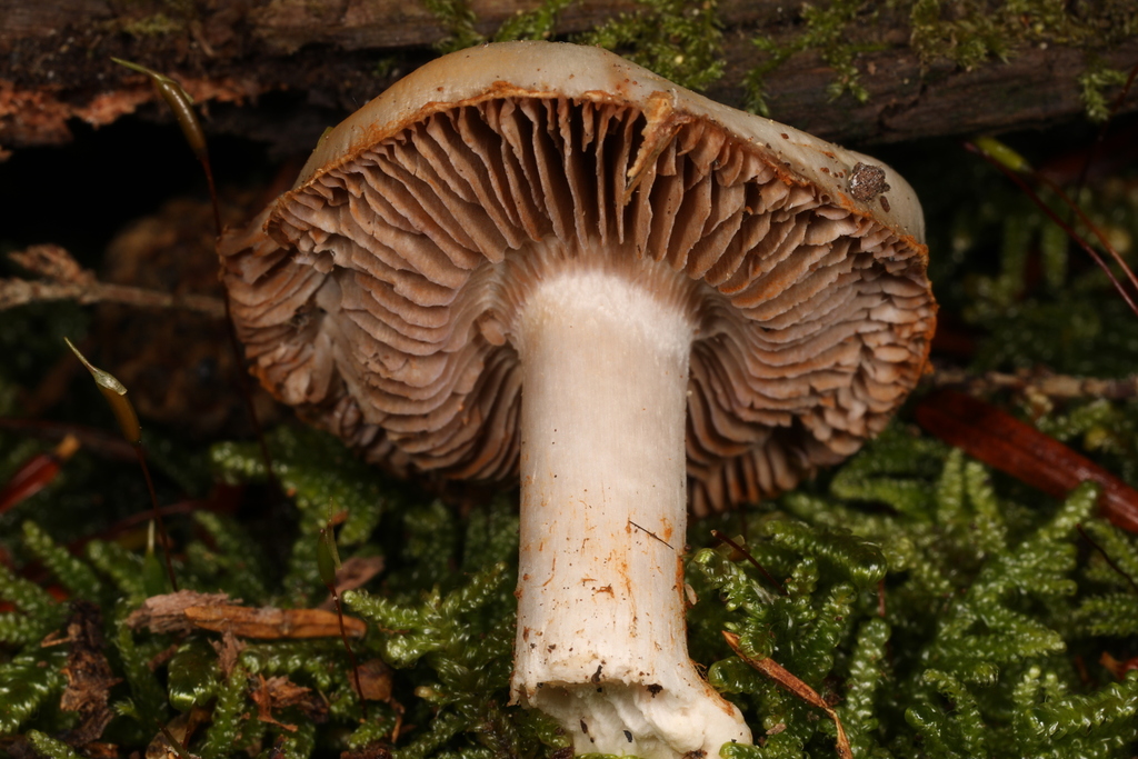 Webcaps from Leeper, PA 16233, USA on September 28, 2023 at 09:45 PM by ...