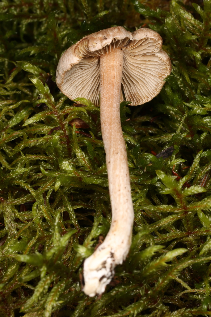 Webcaps from Leeper, PA 16233, USA on September 29, 2023 at 12:30 PM by ...