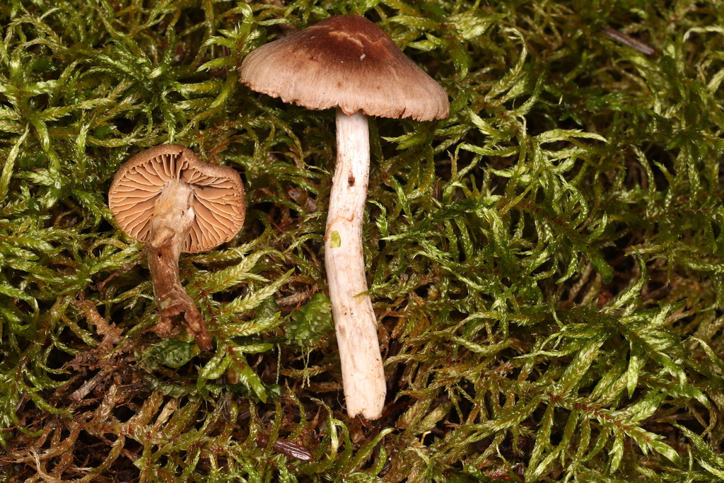 Webcaps from Leeper, PA 16233, USA on September 29, 2023 at 01:37 PM by ...