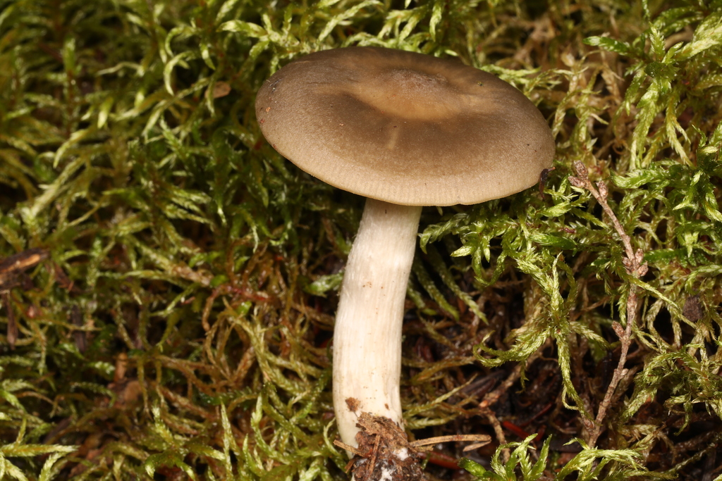 Webcaps from Leeper, PA 16233, USA on September 29, 2023 at 02:23 PM by ...