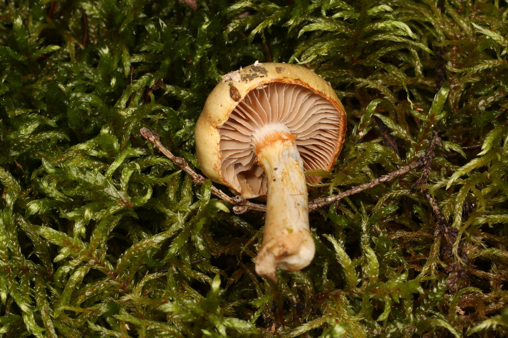 Webcaps from Leeper, PA 16233, USA on September 29, 2023 at 03:22 PM by ...