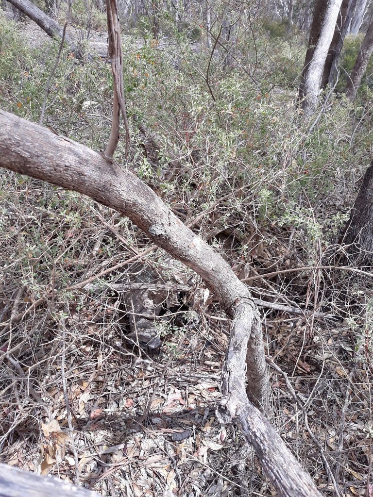 grey box from Long Forest VIC 3340, Australia on November 5, 2018 at 01 ...
