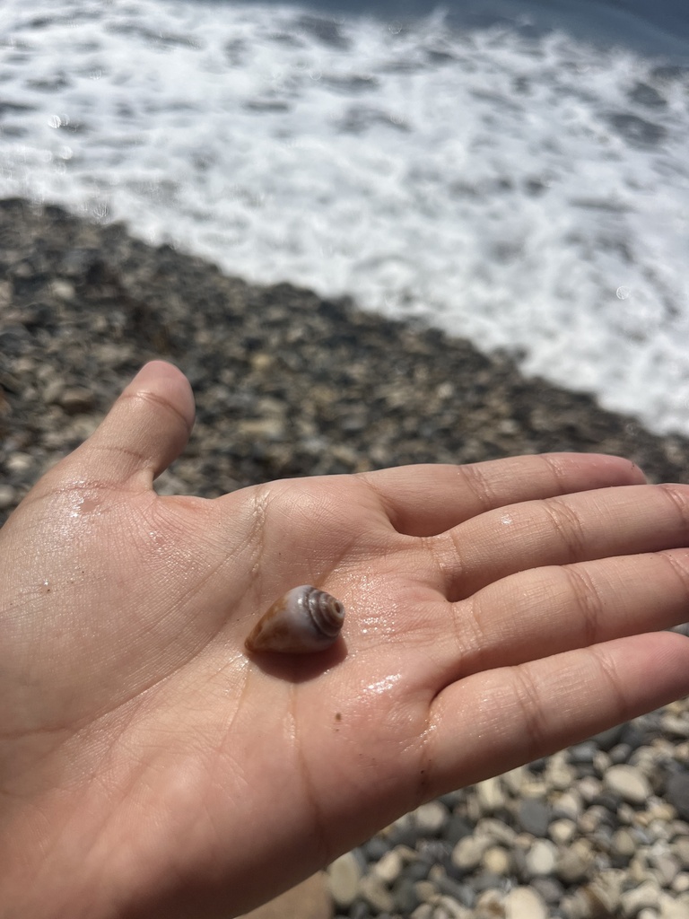 California Cone from Abalone Cove Park, Rancho Palos Verdes, CA, US on ...