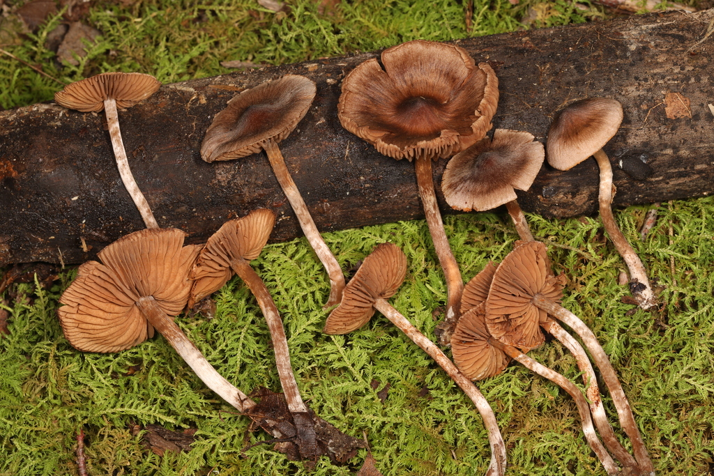 Webcaps from Dunbar, PA 15431, USA on October 8, 2023 at 10:48 AM by ...