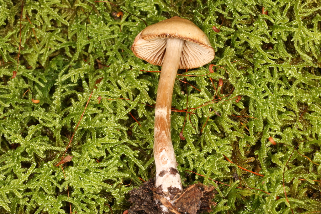 Webcaps from Dunbar, PA 15431, USA on October 8, 2023 at 02:41 PM by ...