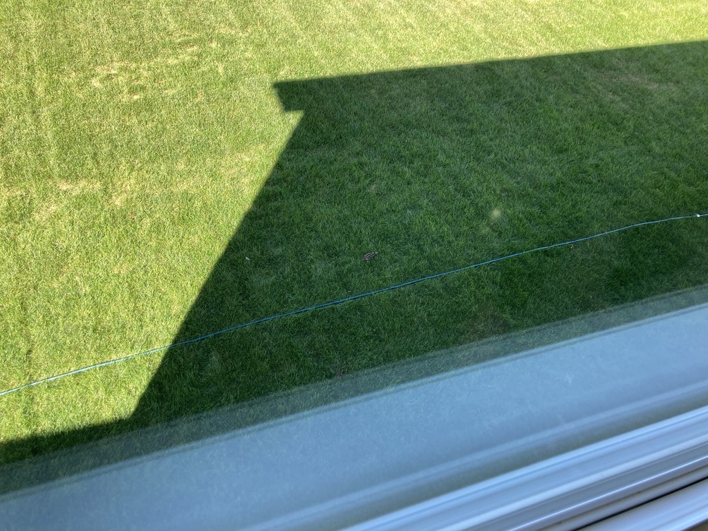 Wilson's Snipe from 24th St W, Zimmerman, MN, US on October 10, 2023 at ...