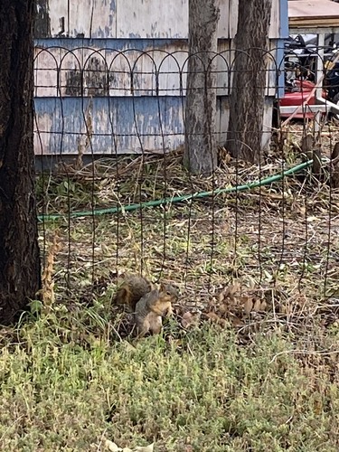 Observations by caseybruner · iNaturalist