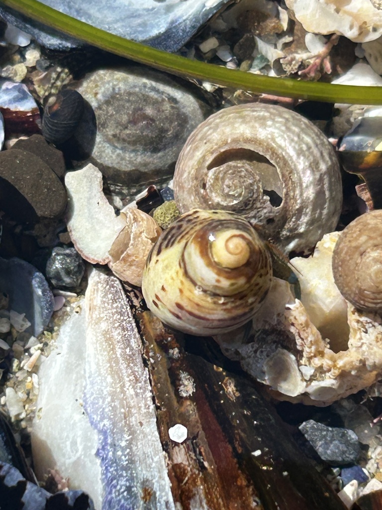 Angular Unicorn from Dana Point Harbor, Dana Point, CA, US on October ...