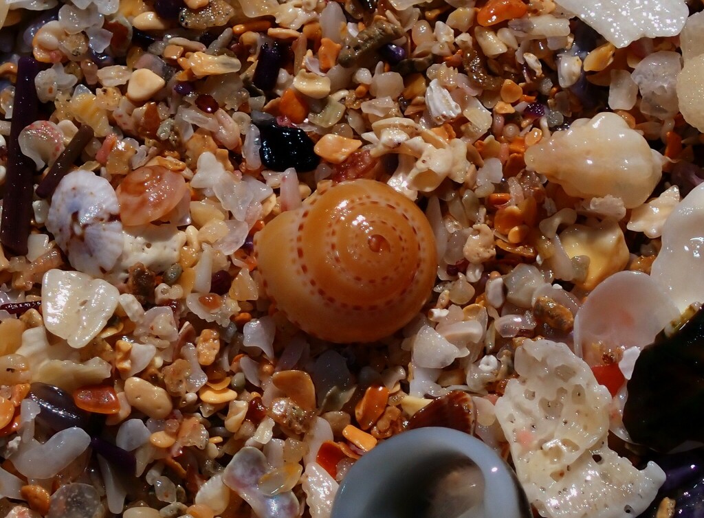 Philippia lutea from Central Coast Council, NSW, Australia on October 13, 2023 at 02:58 PM by ...