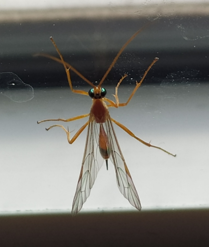 Netelia from 90 Rue François Mitterrand on October 20, 2023 at 01:42 PM ...