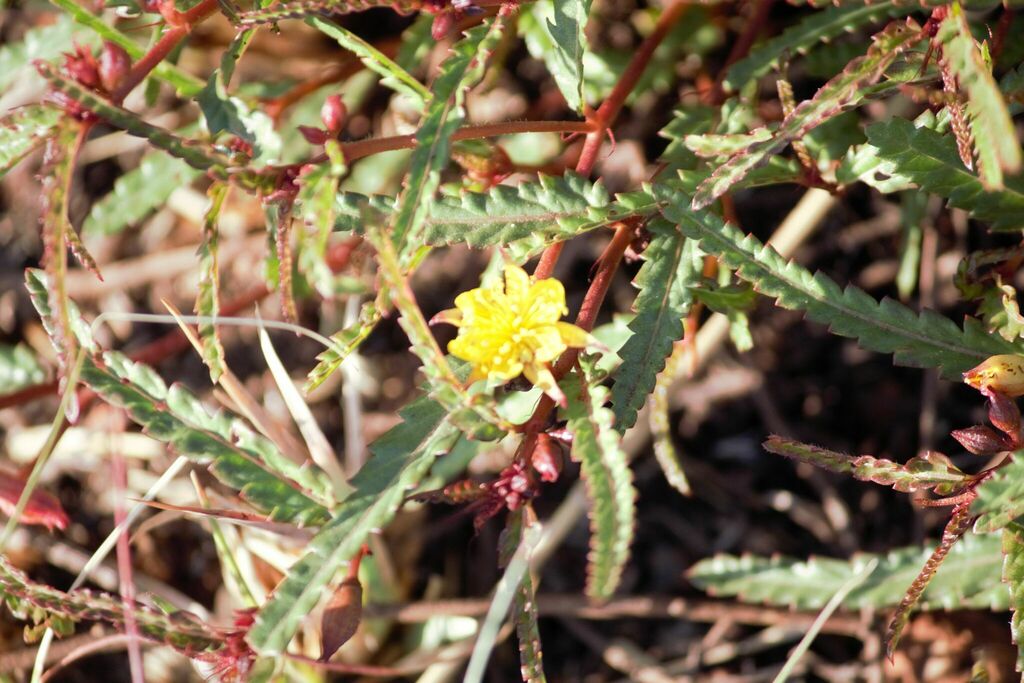 Gusha from Carletonville, 2499, South Africa on October 23, 2023 at 05: ...