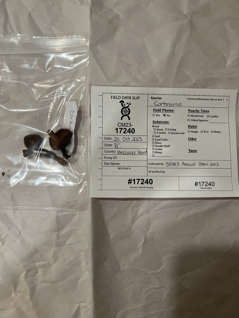 saffron webcap from 17 Mile, Sooke, BC, CA on October 20, 2023 at 07:49 ...