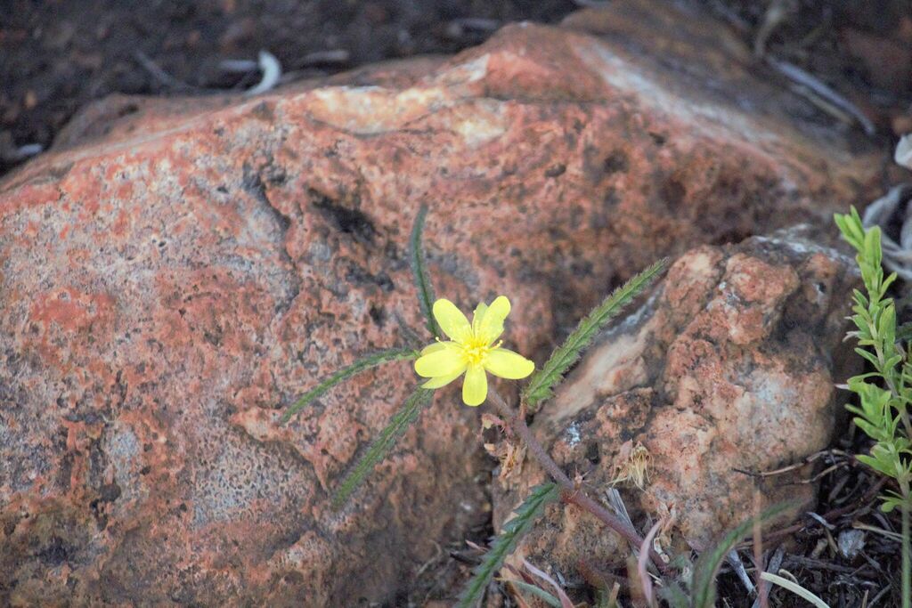 Gusha from Carletonville, 2499, South Africa on October 26, 2023 at 06: ...