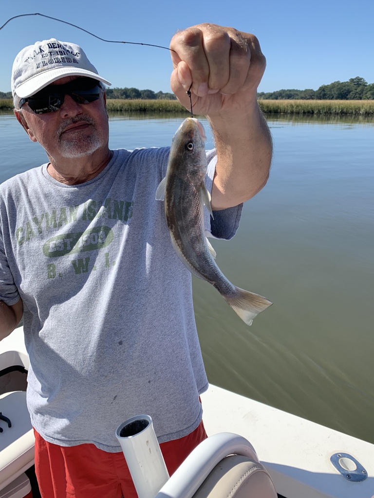 Southern Kingfish from Orangegrove Creek, Charleston, SC, US on October ...