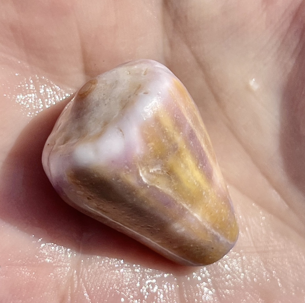 Conus from Engaño Cove, Cagayan Valley, PH on October 29, 2023 at 10:06 ...