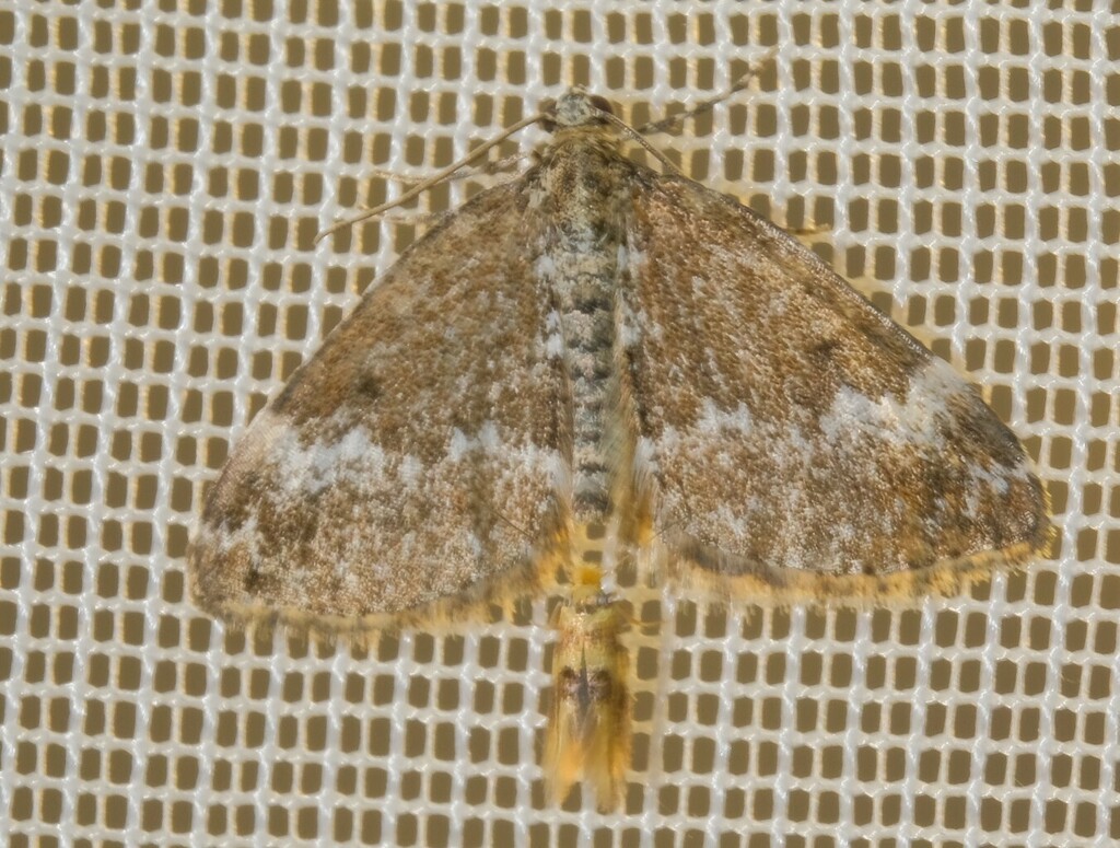 Small Rivulet from Lindhorst, Deutschland on July 25, 2022 at 12:38 AM ...