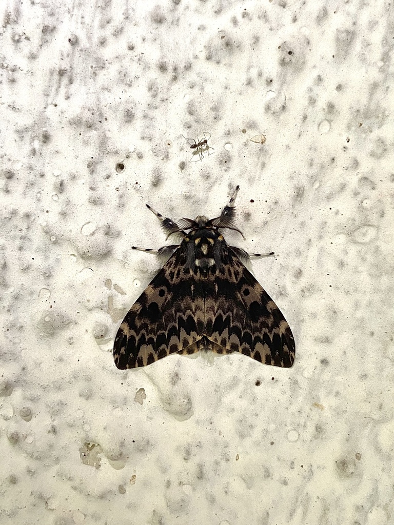 Beatria from Kurai, Seoni, MP, IN on November 6, 2023 at 11:22 AM by santoshedupuganti7 ...