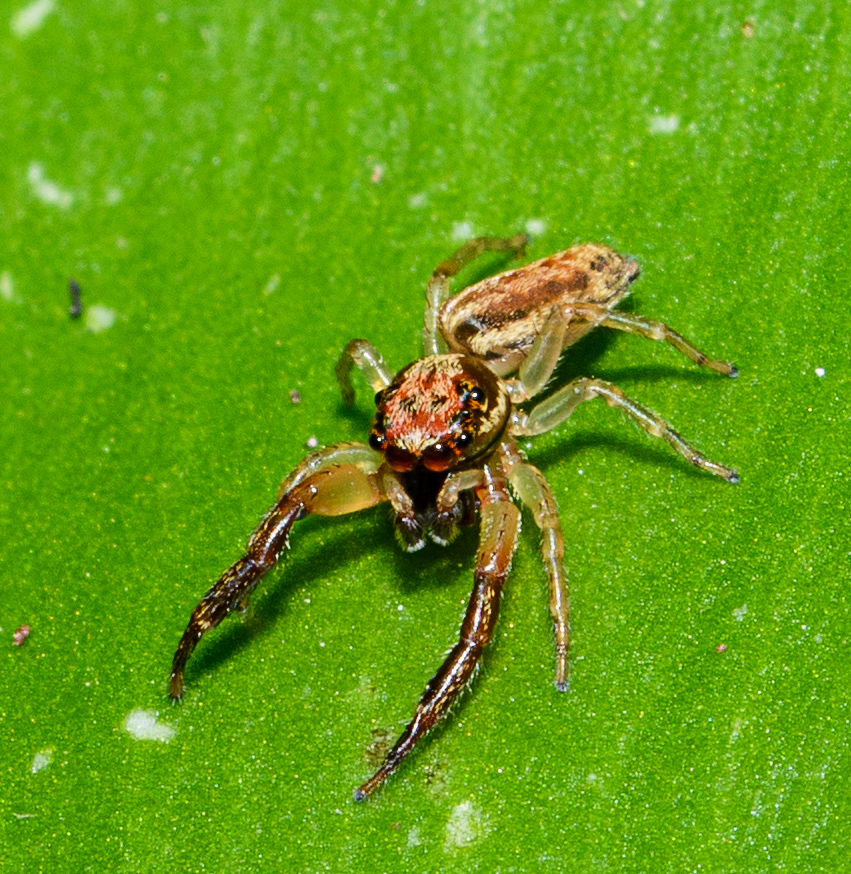 Trite from Paekākāriki, New Zealand on October 30, 2023 at 02:25 PM by ...