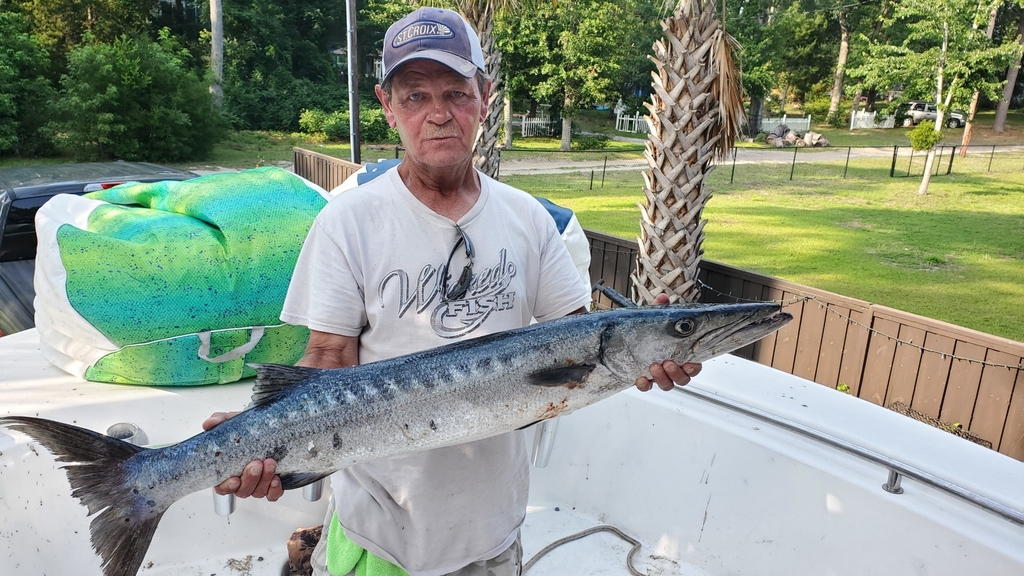 Great Barracuda from Myrtle Grove, NC, USA on June 30, 2023 at 06:00 PM ...