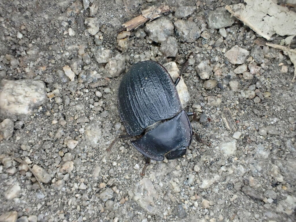 Celibe from Melbourne VIC, Australia on November 10, 2023 at 09:43 PM ...