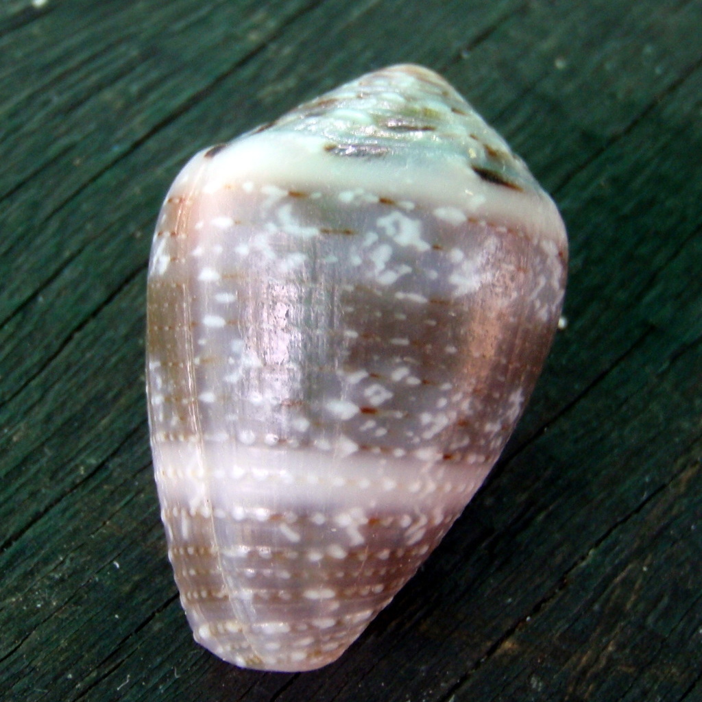 Coronated Cone from East Russell QLD 4861, Australia on September 25 ...