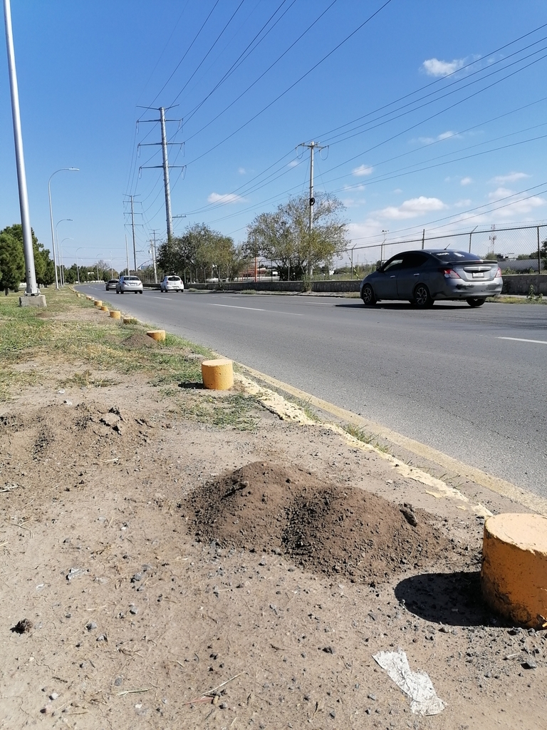 Desert Pocket Gopher in November 2023 by Ramón Isaac Miramontes Cinco ...