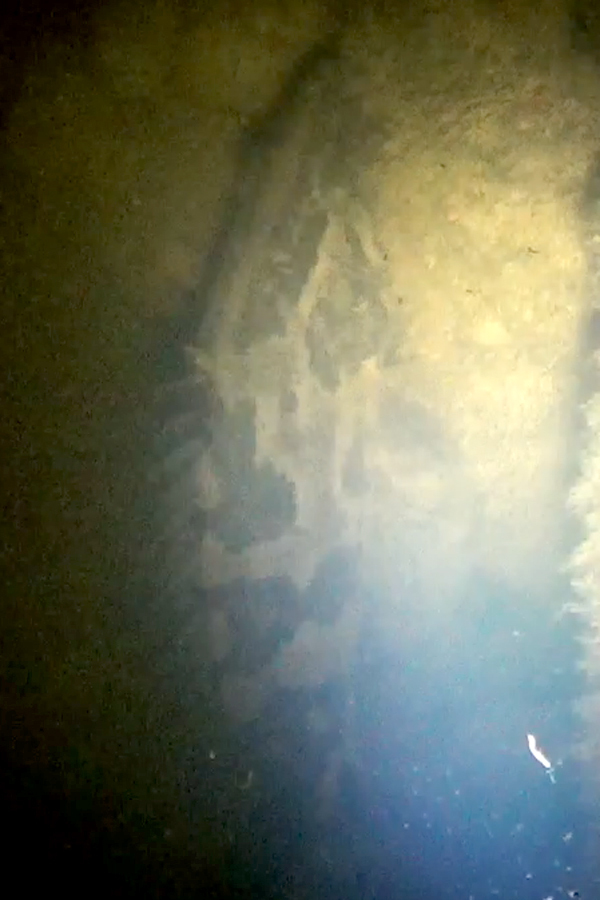 Siniperca from Myaungmya, Myanmar (Burma) on November 4, 2023 at 10:05 ...