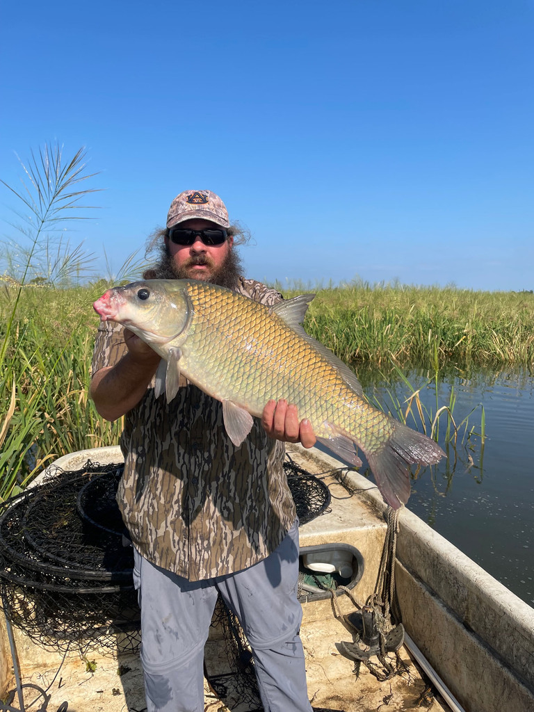 Smallmouth Buffalo from Baldwin County, AL, USA on September 8, 2023 at ...
