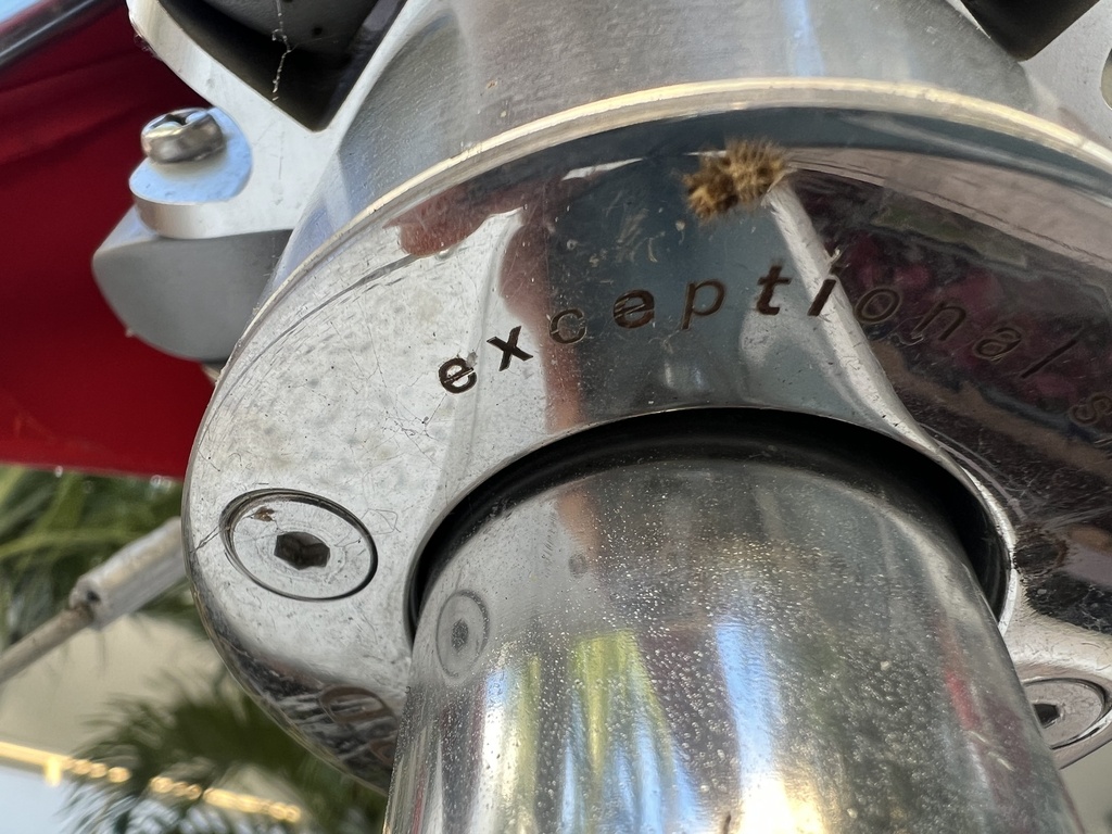 Insects from SW Second Ave, Pompano Beach, FL, US on November 17, 2023 ...